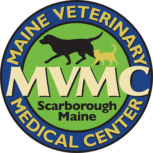Enterprise AI Scribe for Vet Networks | VetRec