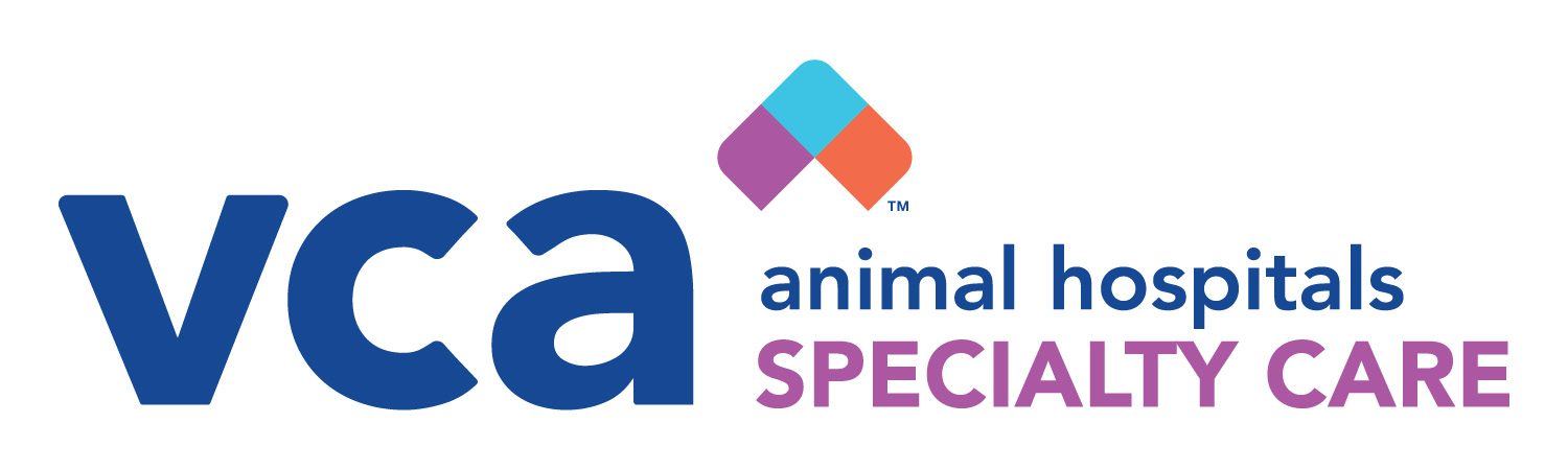 Vet AI Scribe | VetRec - AI Powered Veterinary Clinical Notes